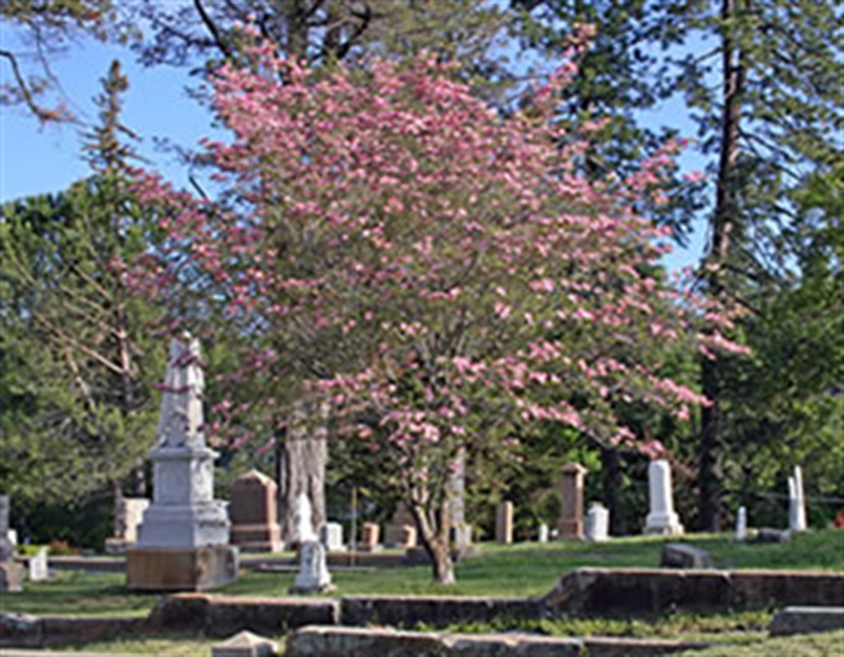 Placerville Union Cemetery - El Dorado County