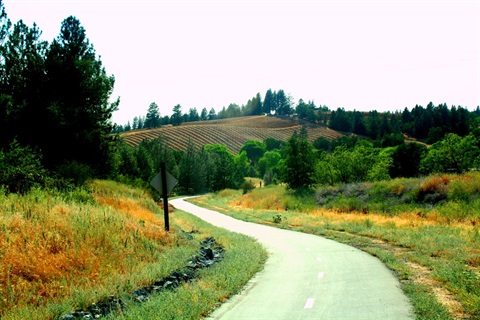 El Dorado Trail - El Dorado County