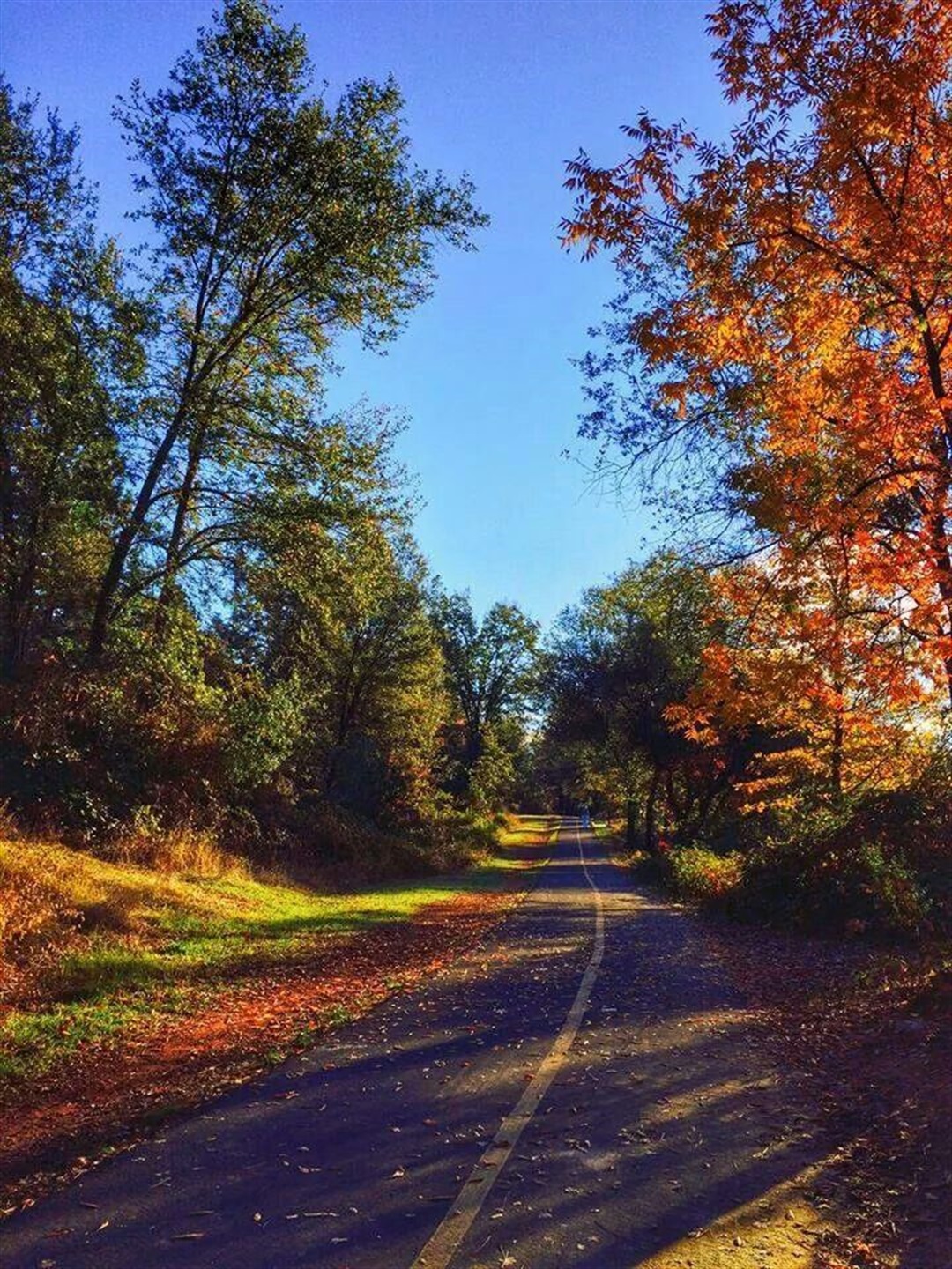 Parks and Recreation Commission - El Dorado County
