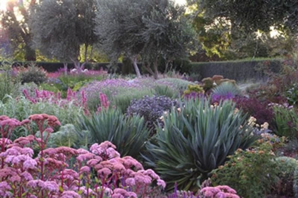 Model Water Efficient Landscape Ordinance (MWELO) - El Dorado County